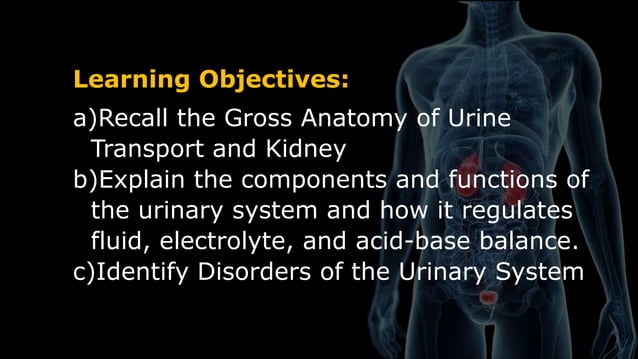 URINARY SYSTEM, FLUID, ELECTROLYTES, AND ACID BASE BALANCE Final ...
