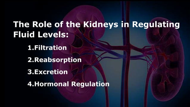 URINARY SYSTEM, FLUID, ELECTROLYTES, AND ACID BASE BALANCE Final ...