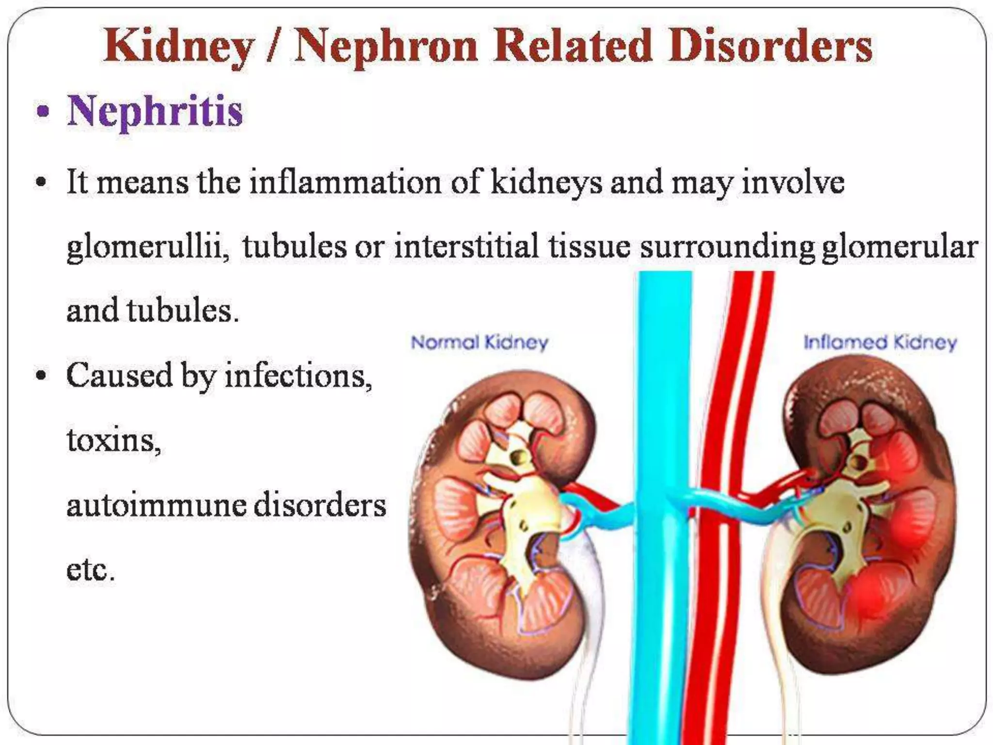 Urinary system hap sughosh | PPT
