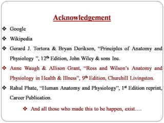 Urinary system hap sughosh | PPT