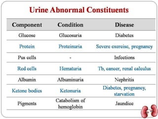 Urinary system hap sughosh | PPT