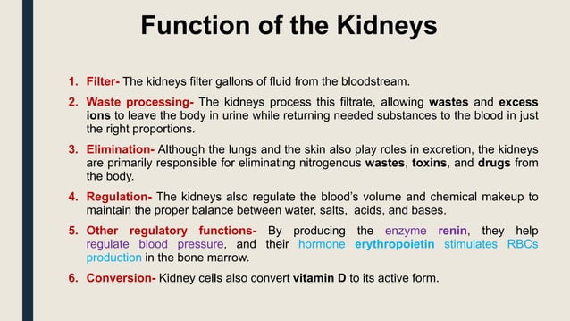 Urinary system introduction.pptx | Free Download