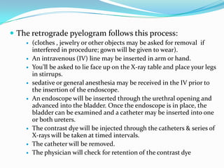 Urinary system medical term | PPTX