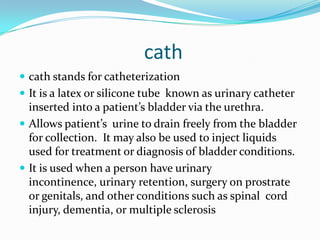 Urinary system medical term | PPTX