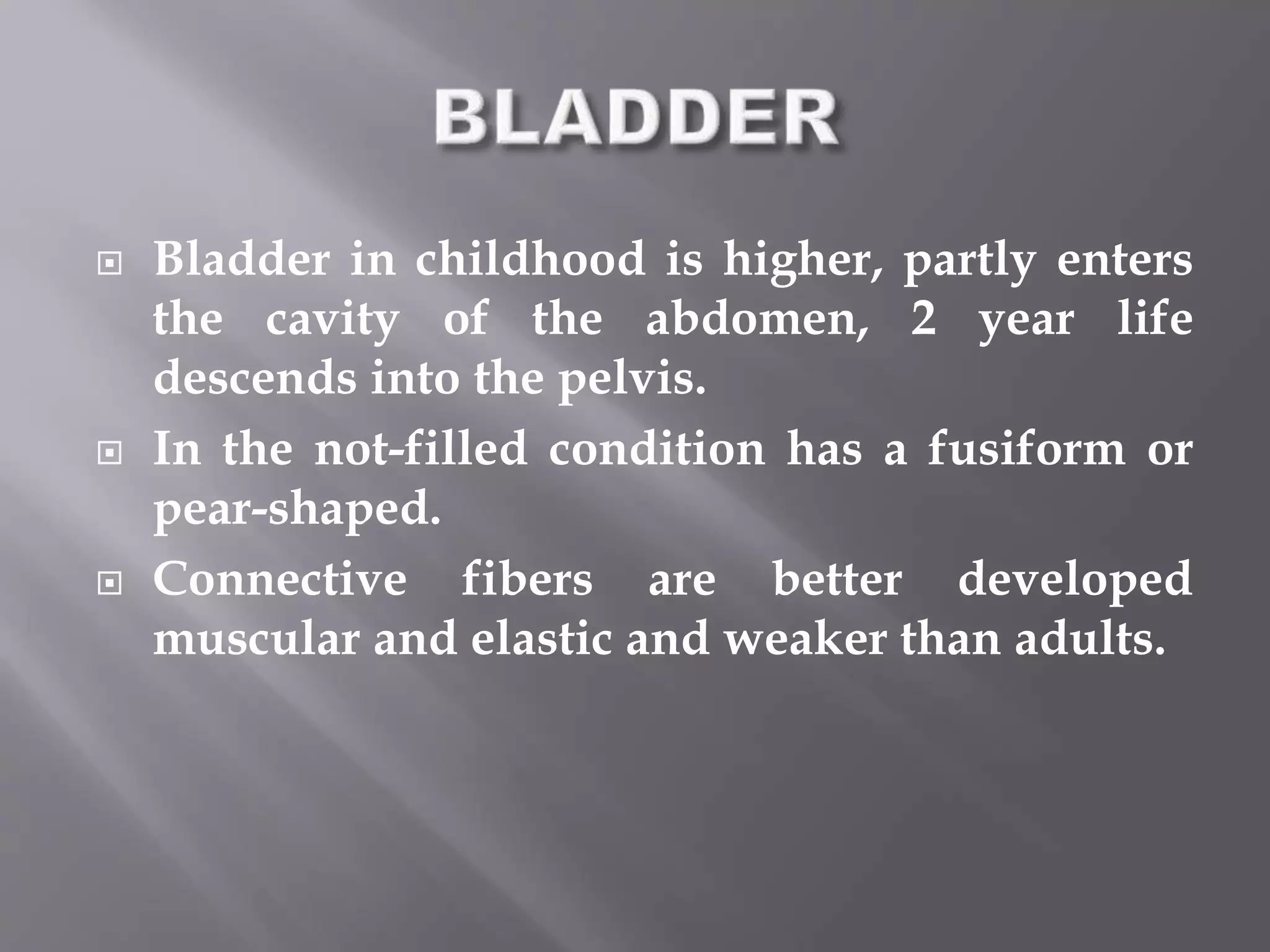 Urinary system of infants and children | PPTX