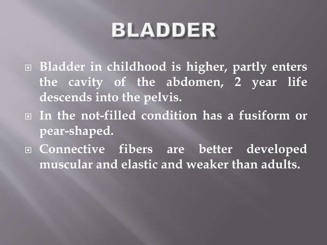 Urinary system of infants and children | PPTX