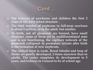 Urinary system of infants and children | PPTX