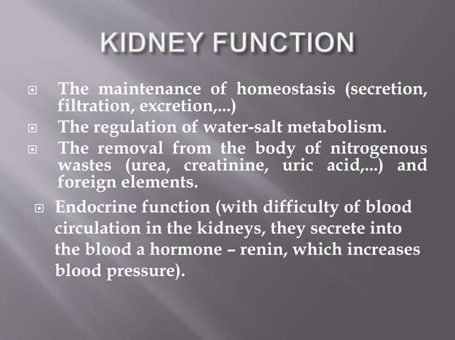 Urinary system of infants and children | PPTX