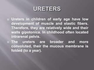 Urinary system of infants and children | PPTX