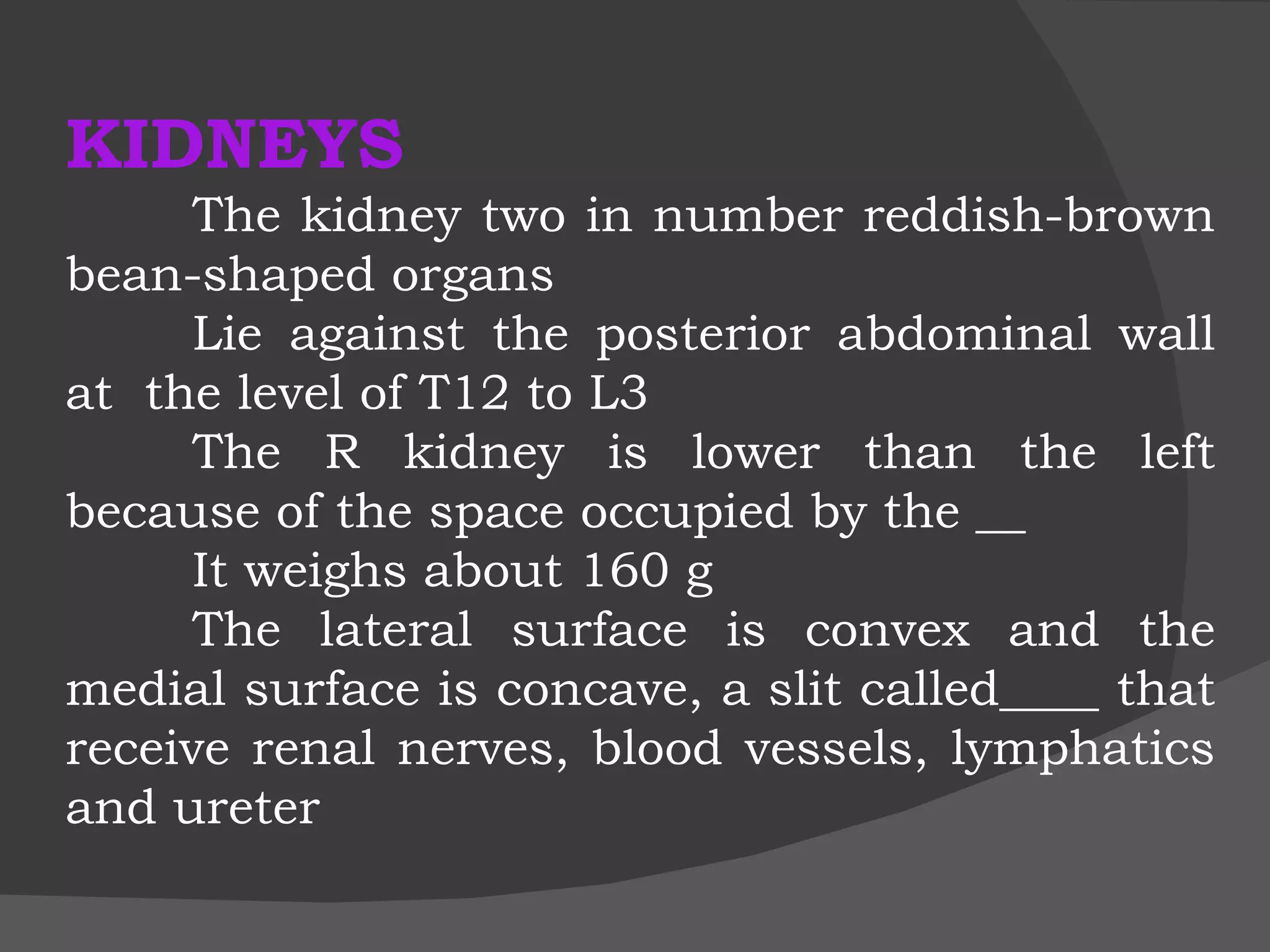 Urinary System | PPT | Chemistry | Science