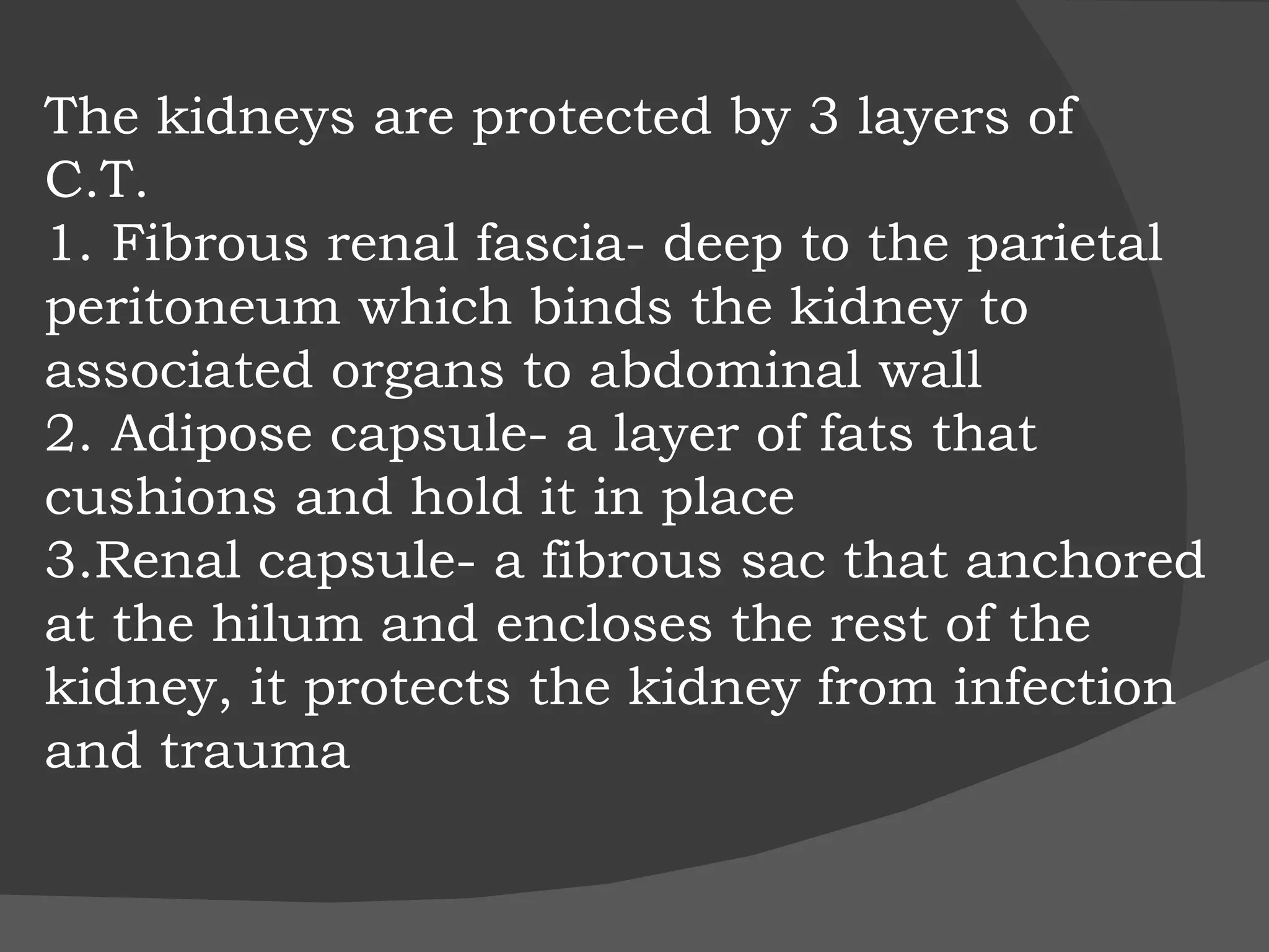 Urinary System | PPT