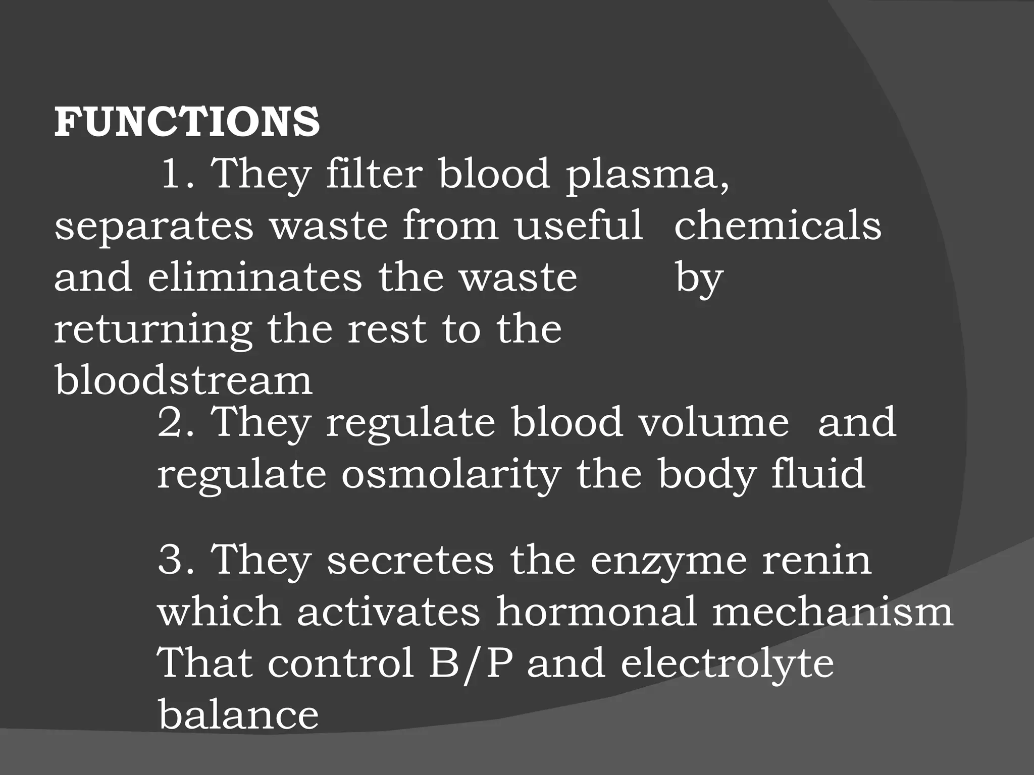 Urinary System | PPT