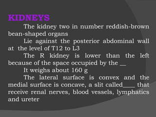 Urinary System | PPT
