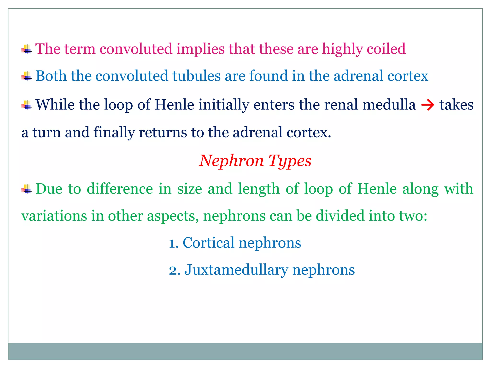 Urinary System Part II | PPTX