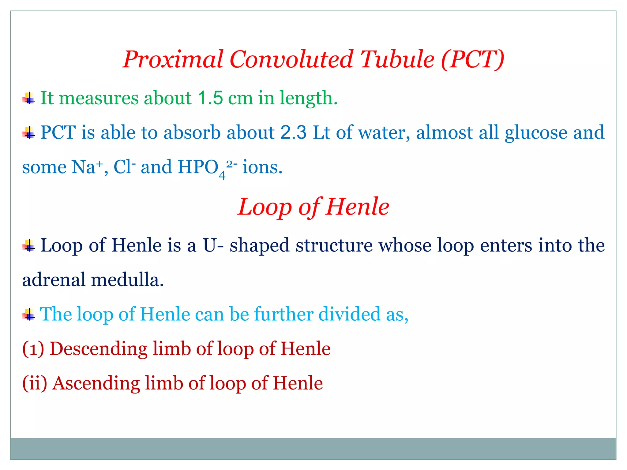 Urinary System Part II | PPTX