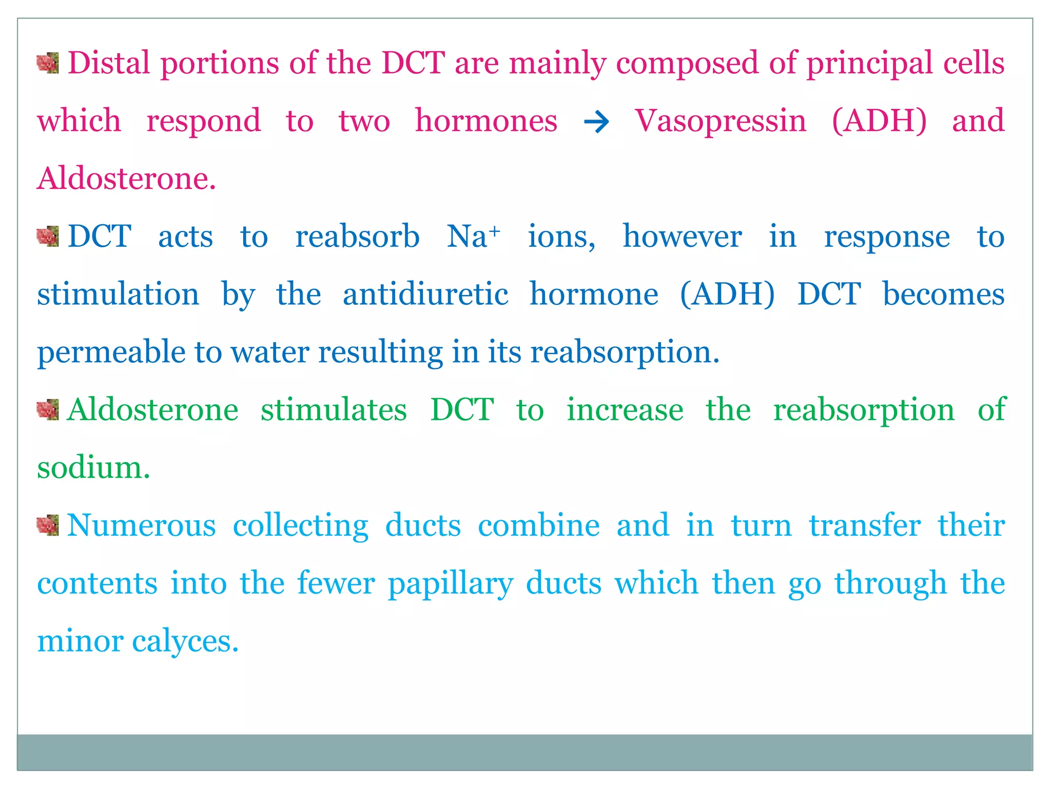 Urinary System Part II | PPTX