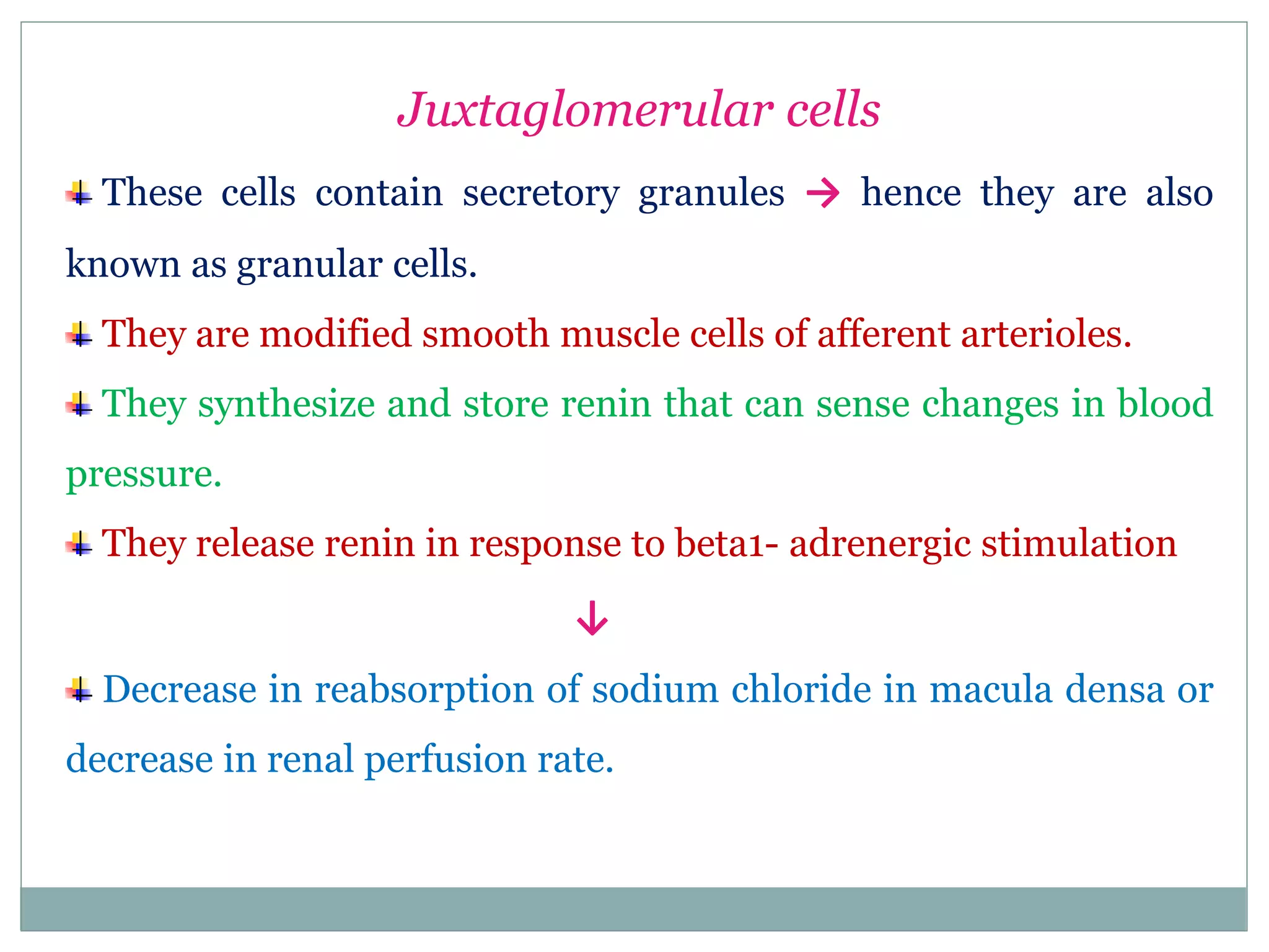 Urinary System Part II | PPTX