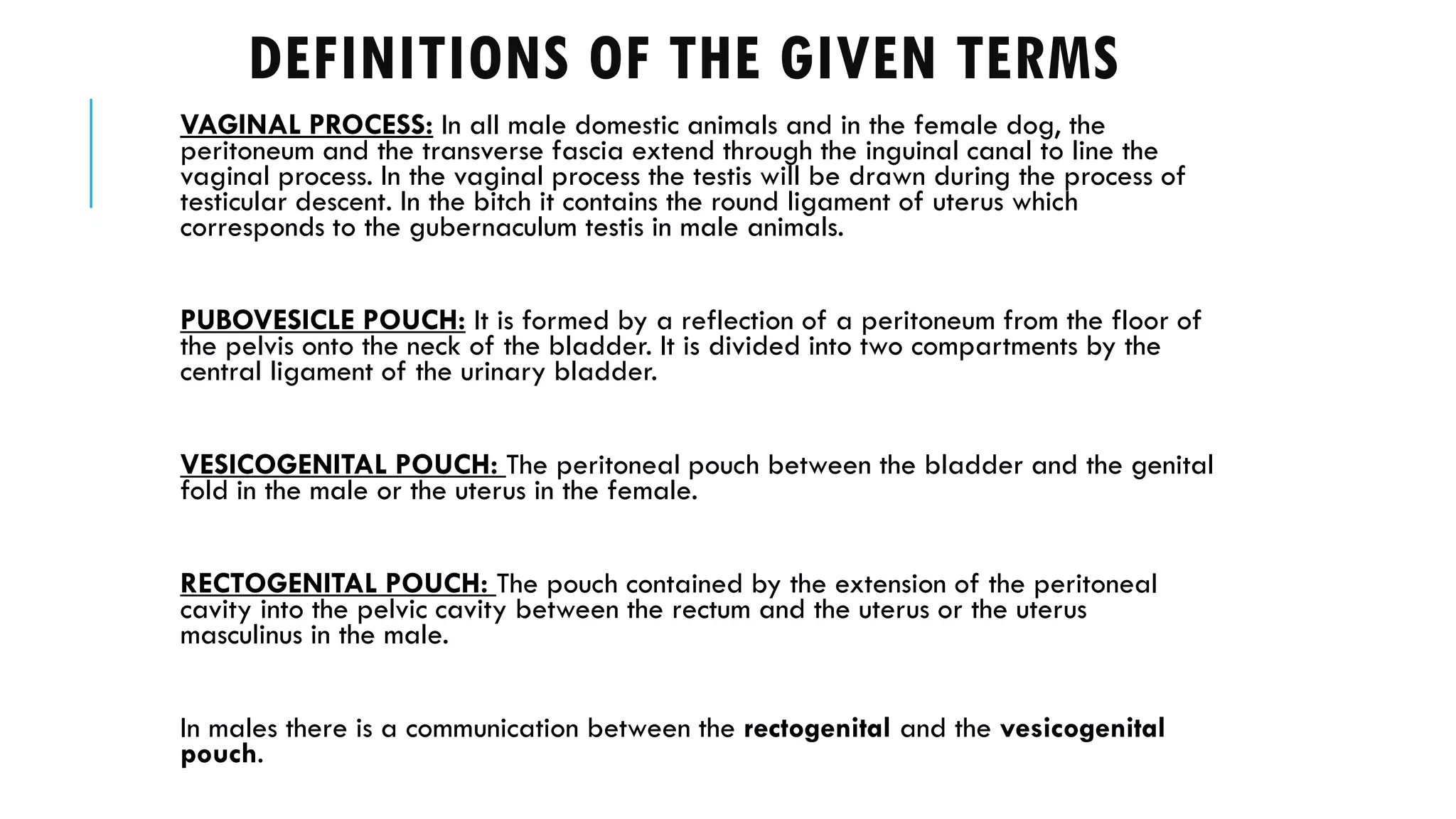 Veterinary Anatomy of Urinary system (pelvic peritoneal excavations ...