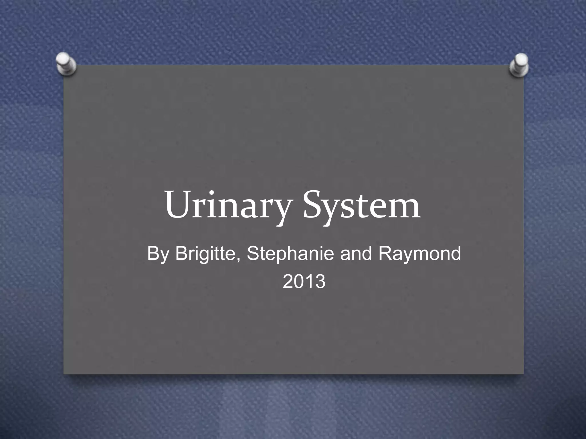 Urinary system power point | PPTX