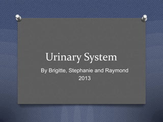 Urinary system power point | PPTX