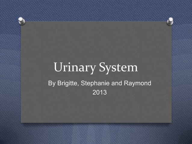 Urinary system power point | PPTX