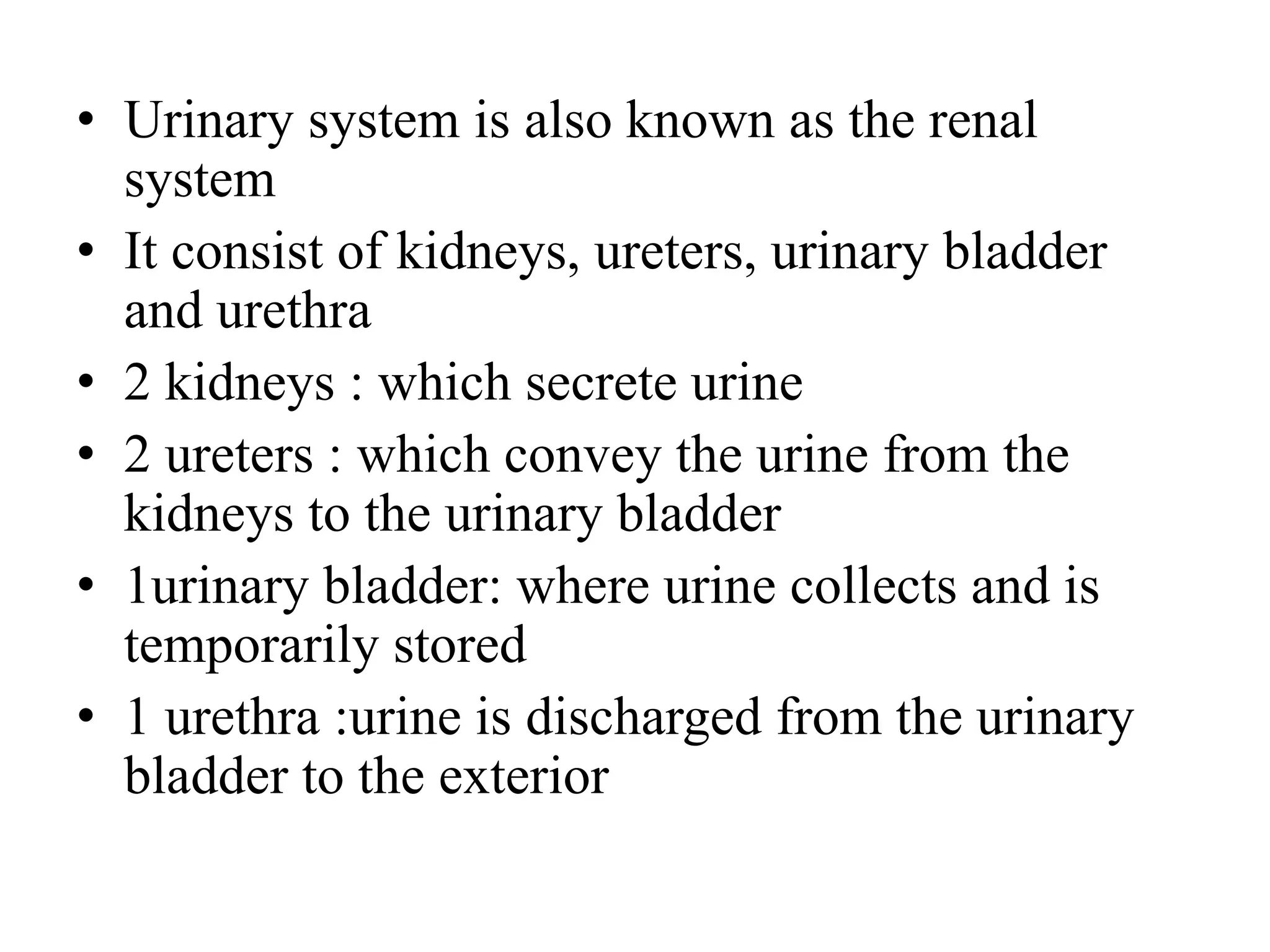 Kidney and urinary system parts and their functions | PPTX