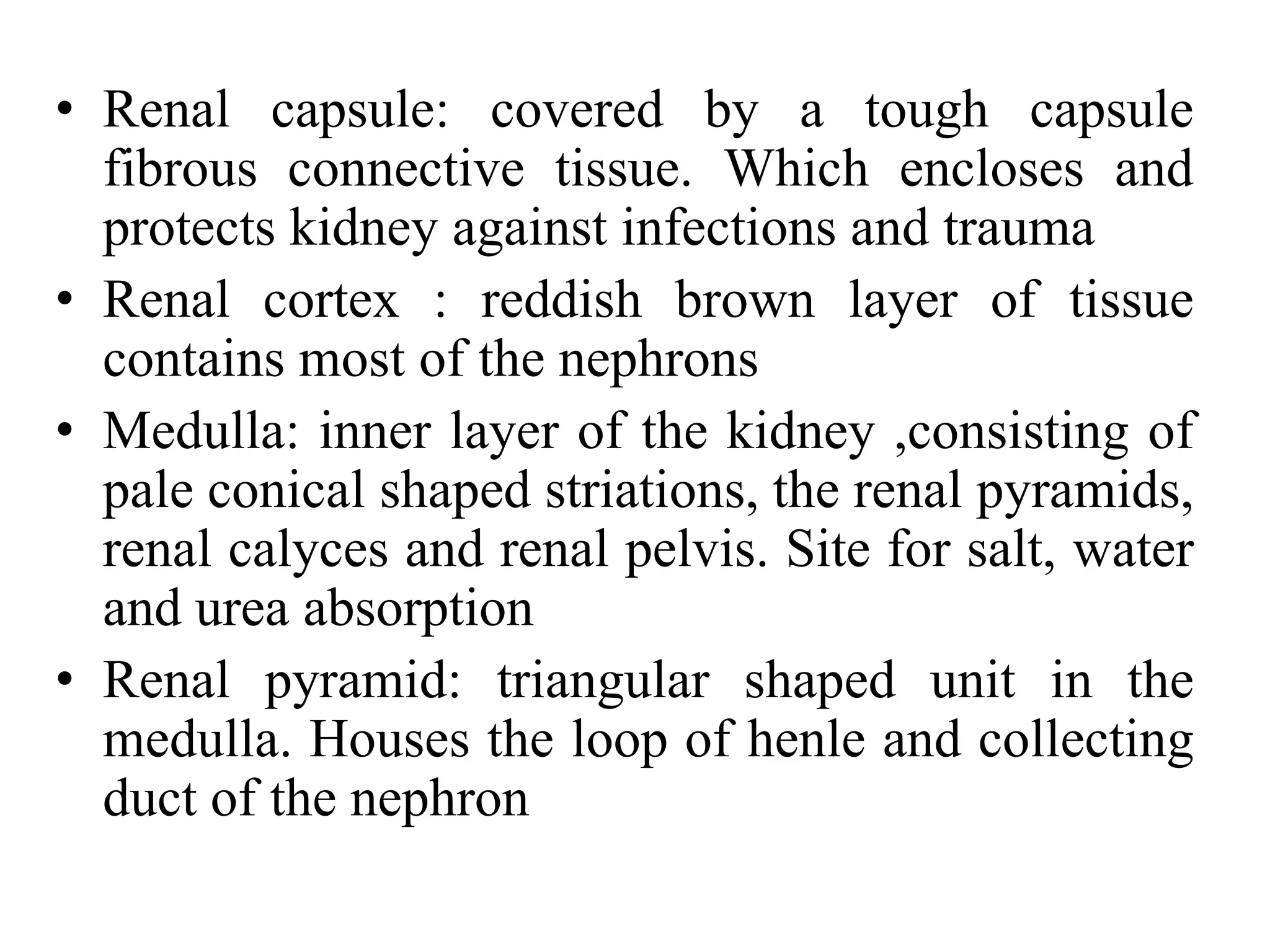 Kidney and urinary system parts and their functions | PPTX