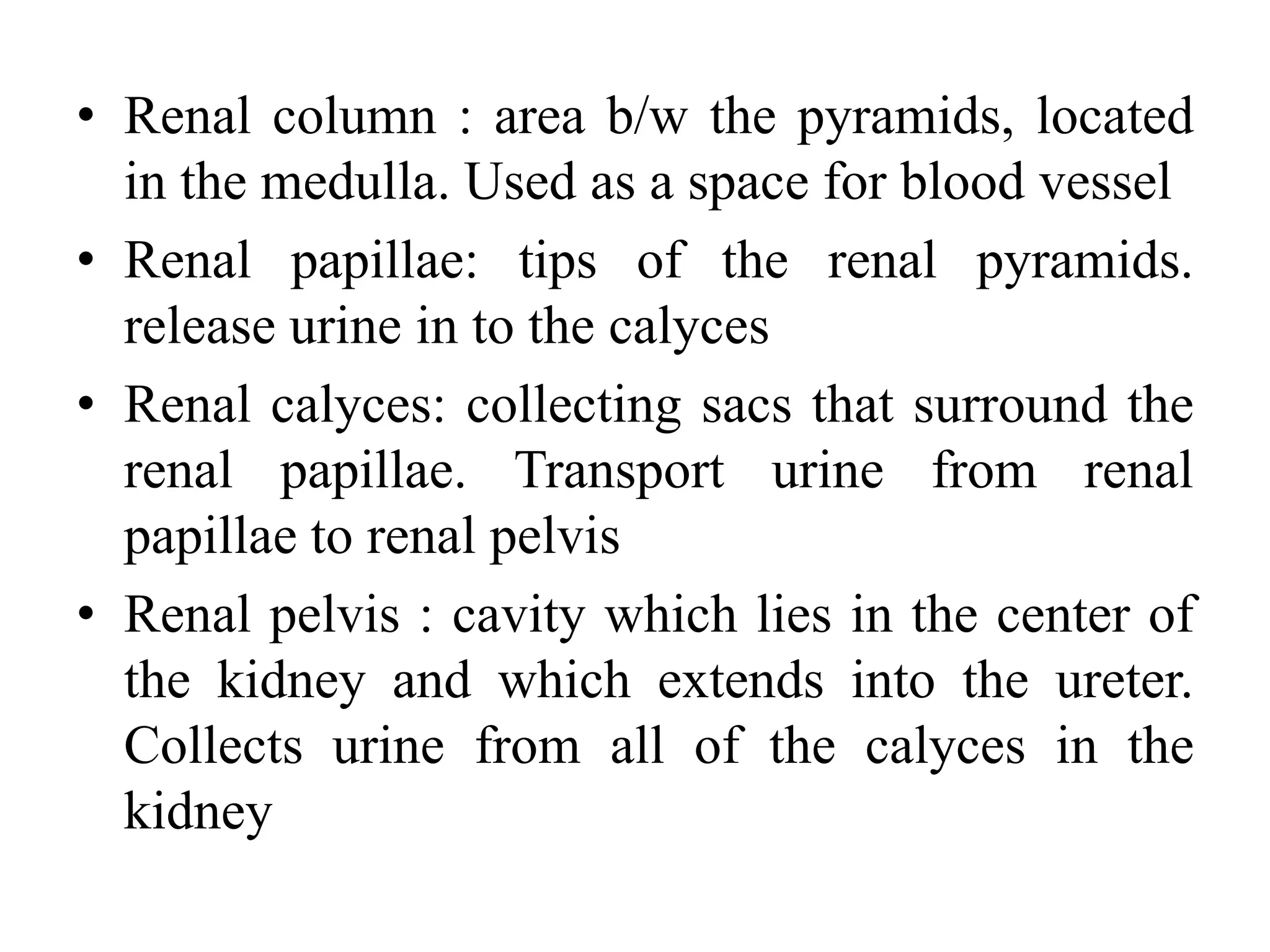 Kidney and urinary system parts and their functions | PPTX