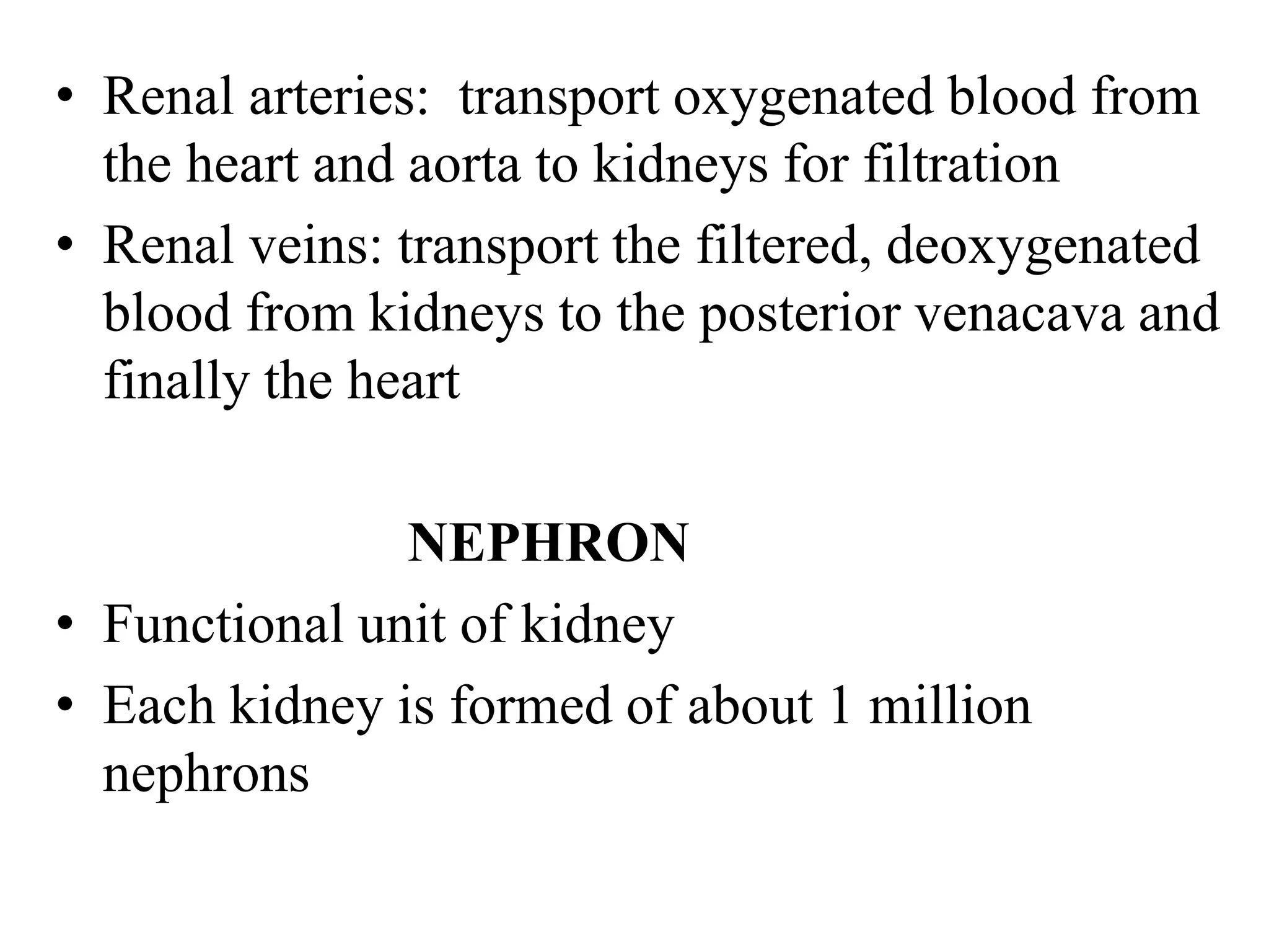 Kidney and urinary system parts and their functions | PPTX