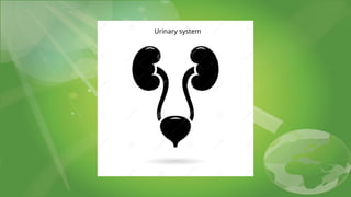 Urinary system pptx (by Mr syed samad).pptx