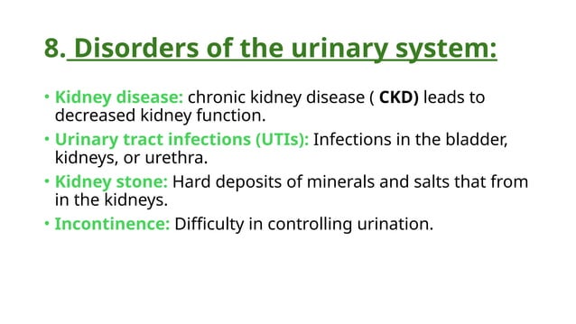 Urinary System Pptx By Mr Syed Samad Pptx