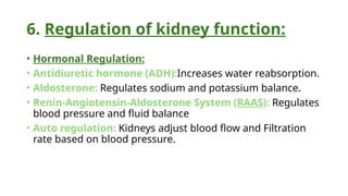 Urinary system pptx (by Mr syed samad).pptx