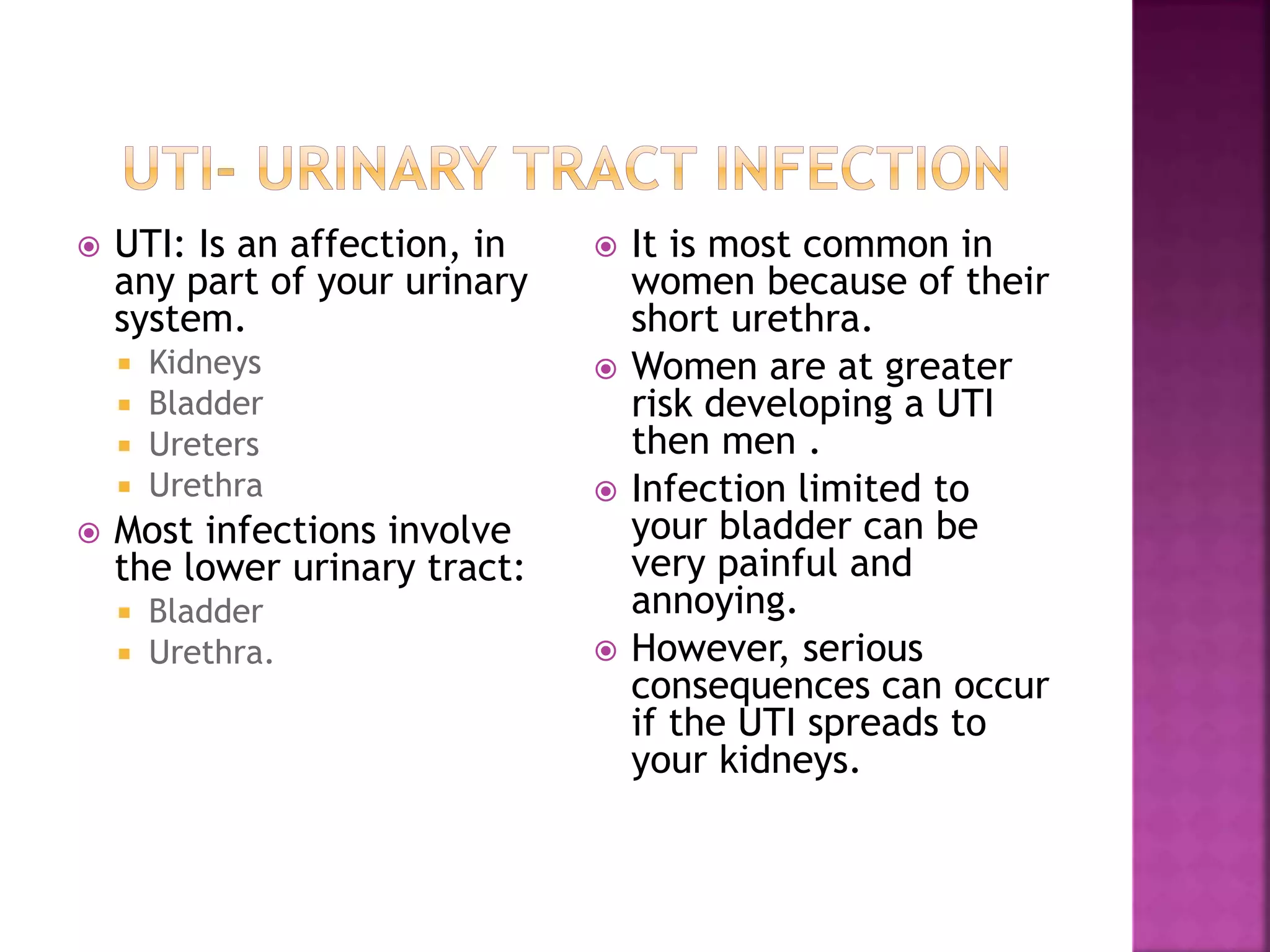 Urinary system presentation | PPT