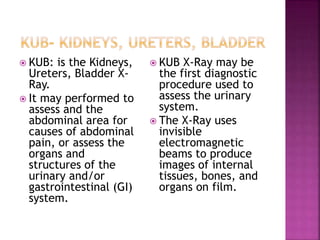 Urinary system presentation | PPT