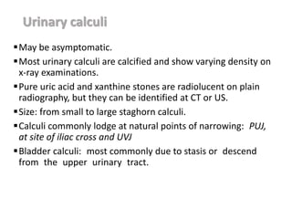 Urinary System Radiology II..pdf gyfhhuh | PDF