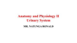 Urinary system summarised ANATOMY AND PHYSIOLOGY.pptx