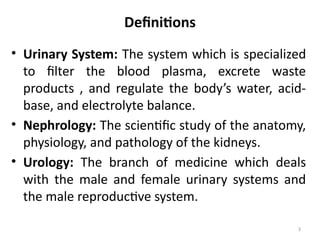 Urinary System by Yasir Ahmad Lecturer at CECOS University.pptx