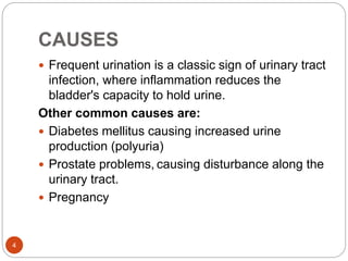 Urinary system (us) examination | PPTX