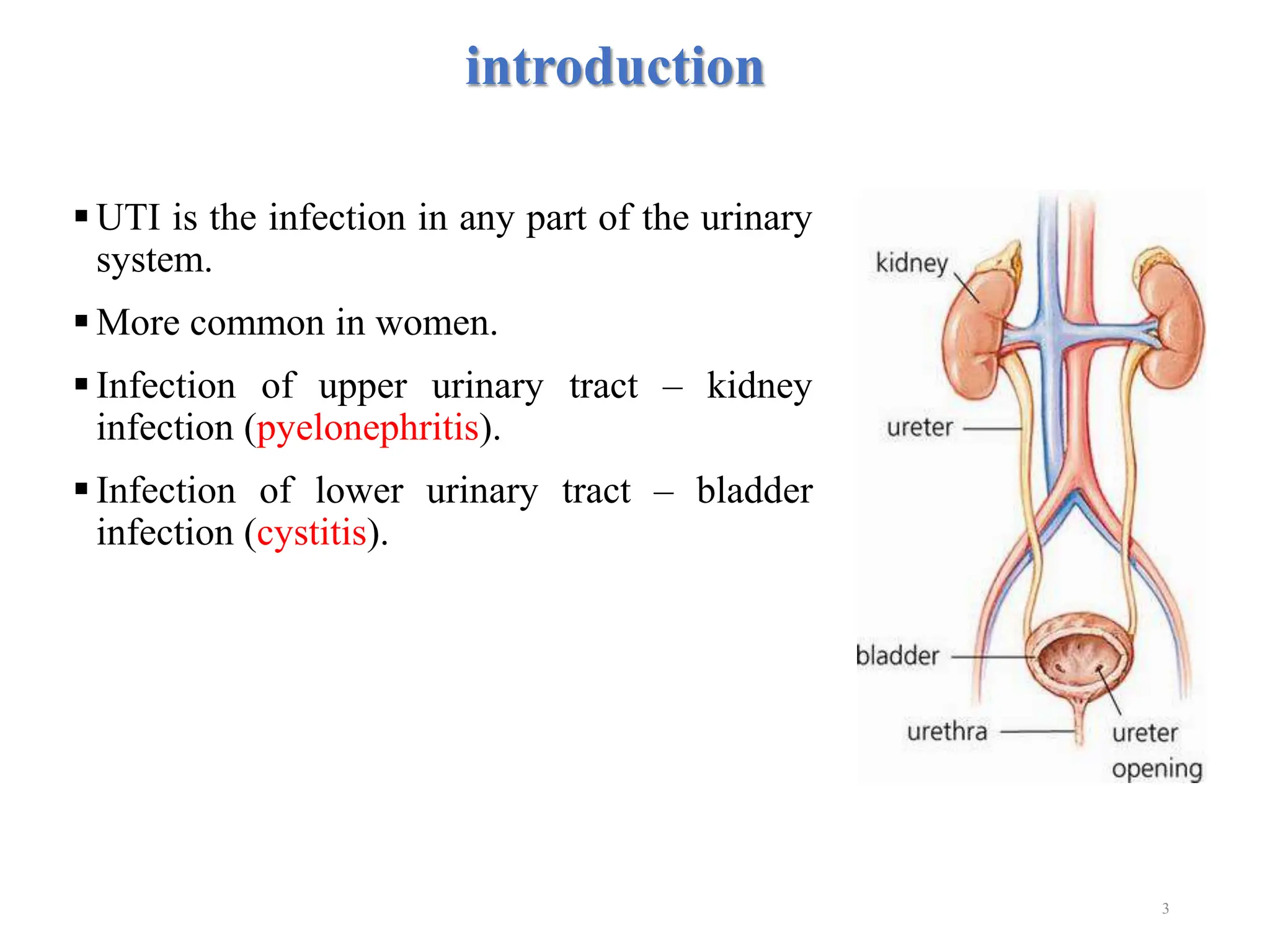 urinary track infection etiology ,cystitis,acute chronic pyelonephritis ...