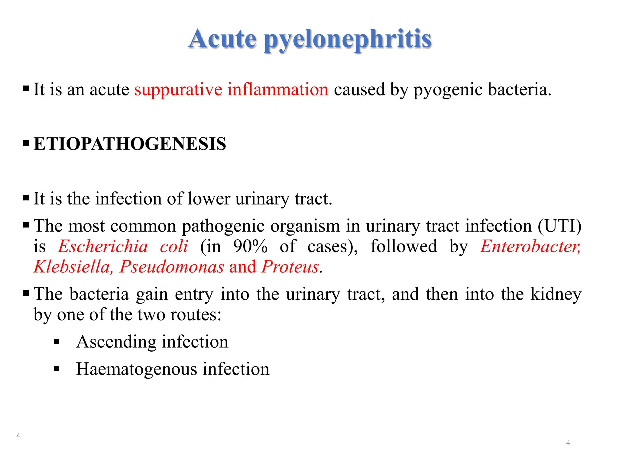 urinary track infection etiology ,cystitis,acute chronic pyelonephritis ...