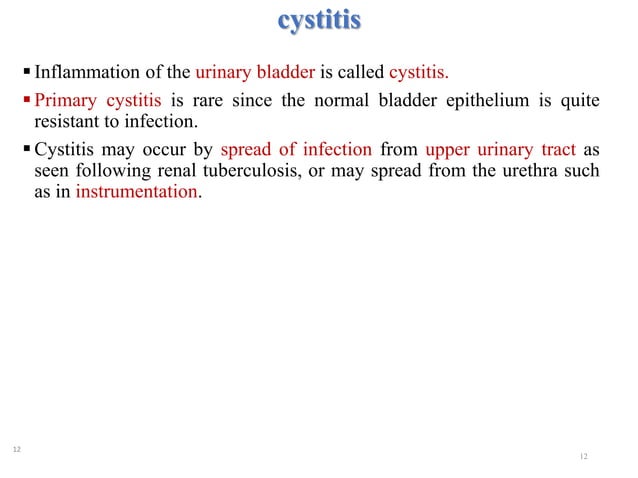urinary track infection etiology ,cystitis,acute chronic pyelonephritis ...
