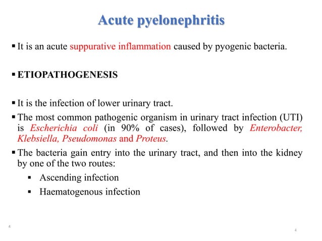 urinary track infection etiology ,cystitis,acute chronic pyelonephritis ...