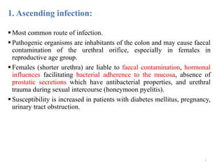 urinary track infection etiology ,cystitis,acute chronic pyelonephritis ...