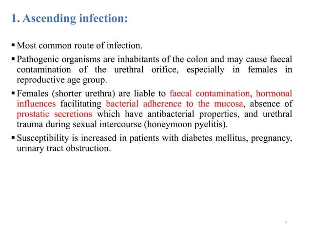 urinary track infection etiology ,cystitis,acute chronic pyelonephritis ...