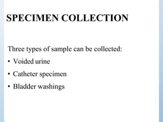 urinarytract-180126143744.pptx