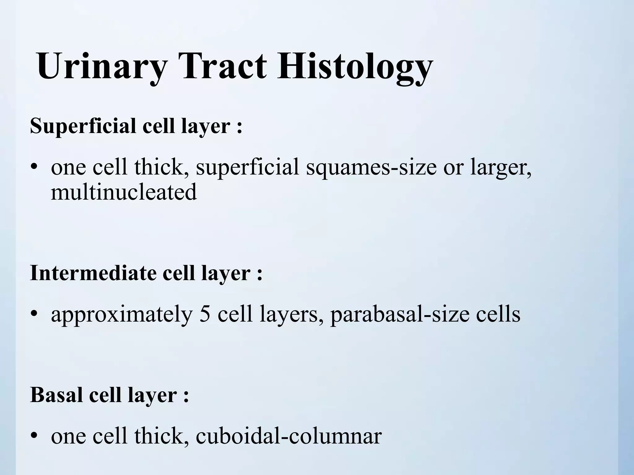 cytology of urinary tract | PPTX