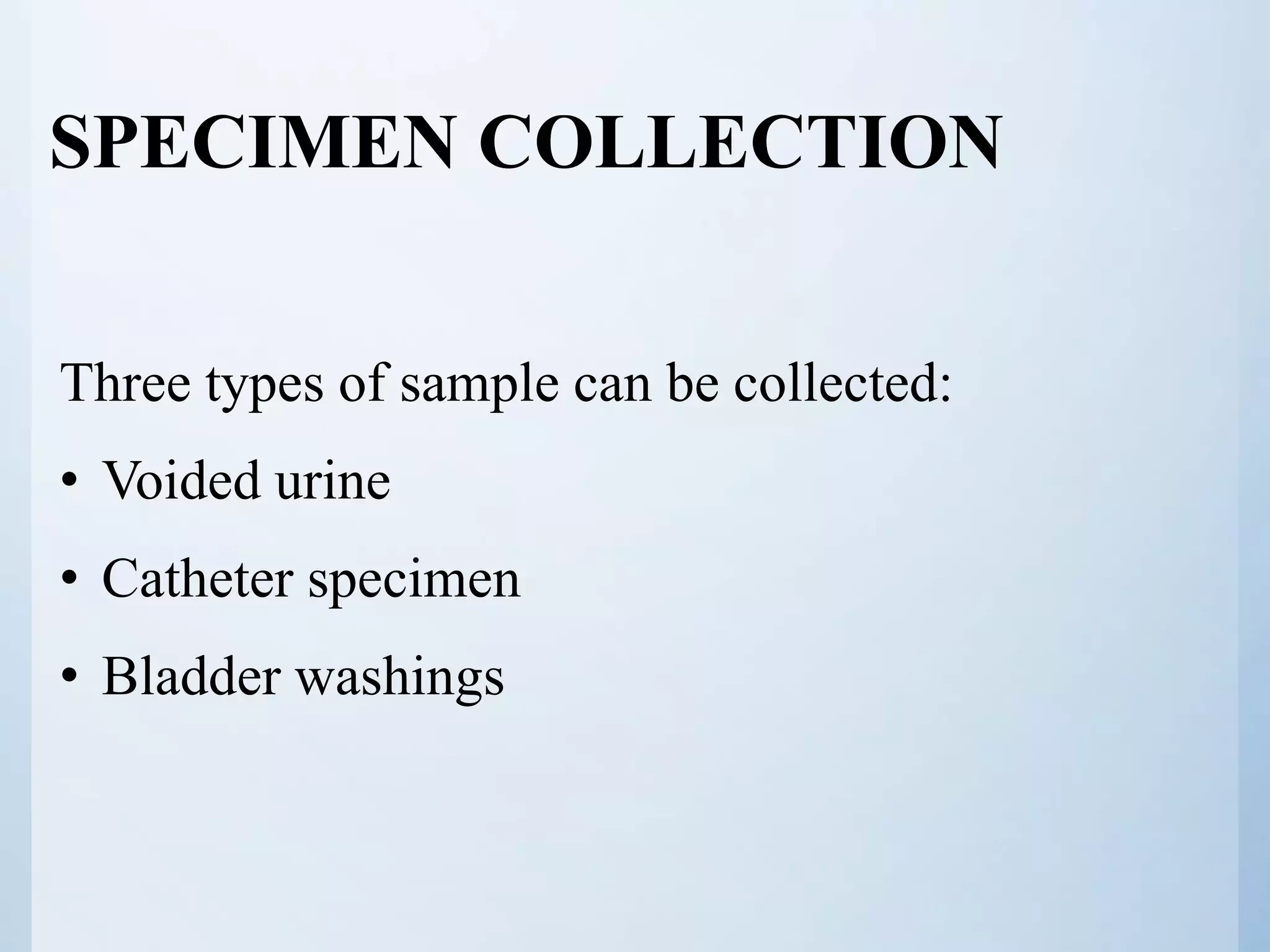 cytology of urinary tract | PPTX