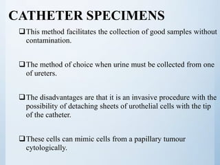 cytology of urinary tract | PPTX