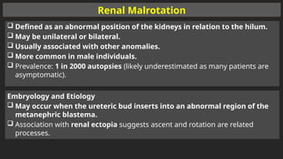 Anatomy of Urinary Tract and Congenital Anomalies – A Radiology ...