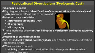 Anatomy of Urinary Tract and Congenital Anomalies – A Radiology ...